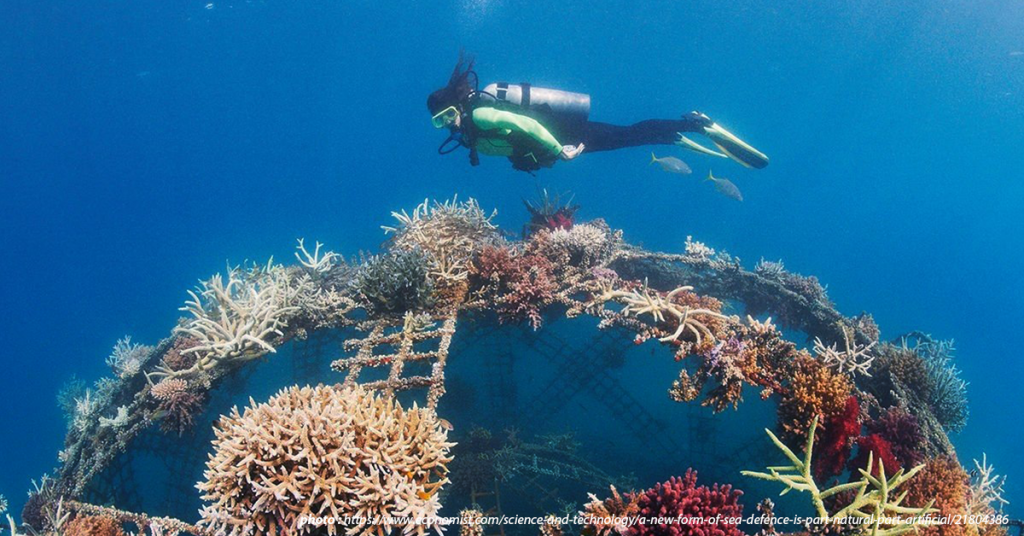 A Hope for the Reefs: Coral Reef Restoration Projects in SEA - AISAT